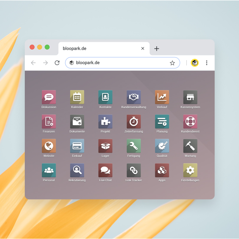 Odoo Customisation - bloopark.de